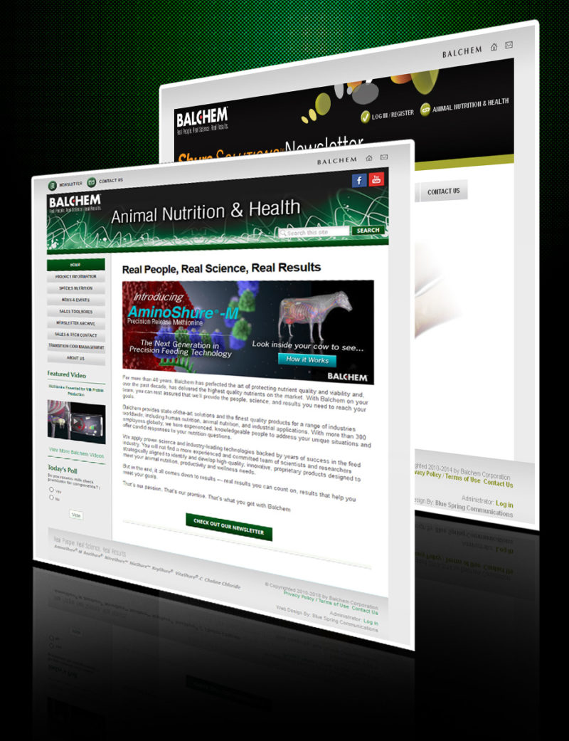 Balchem Animal Nutrition & Health – Blue Spring Communications